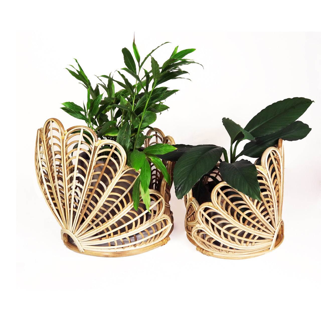 KABIBE | planter – jedyabutfurniture